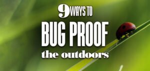 9 Ways To Outdoor Bug Proof - Discover the yard
