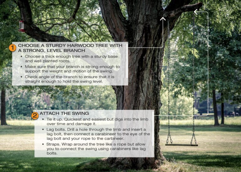 How to Hang a Tree Swing from a Tree - Discover the yard