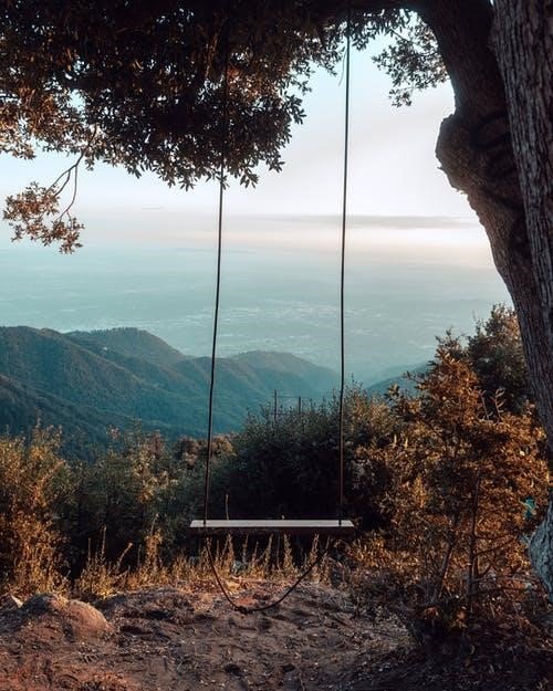 25 Tree Swing Ideas - Discover the yard