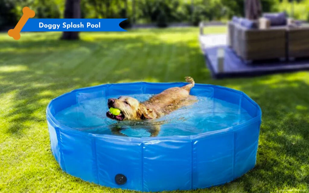 Dog-Friendly Landscaping for your backyard - Discover the yard